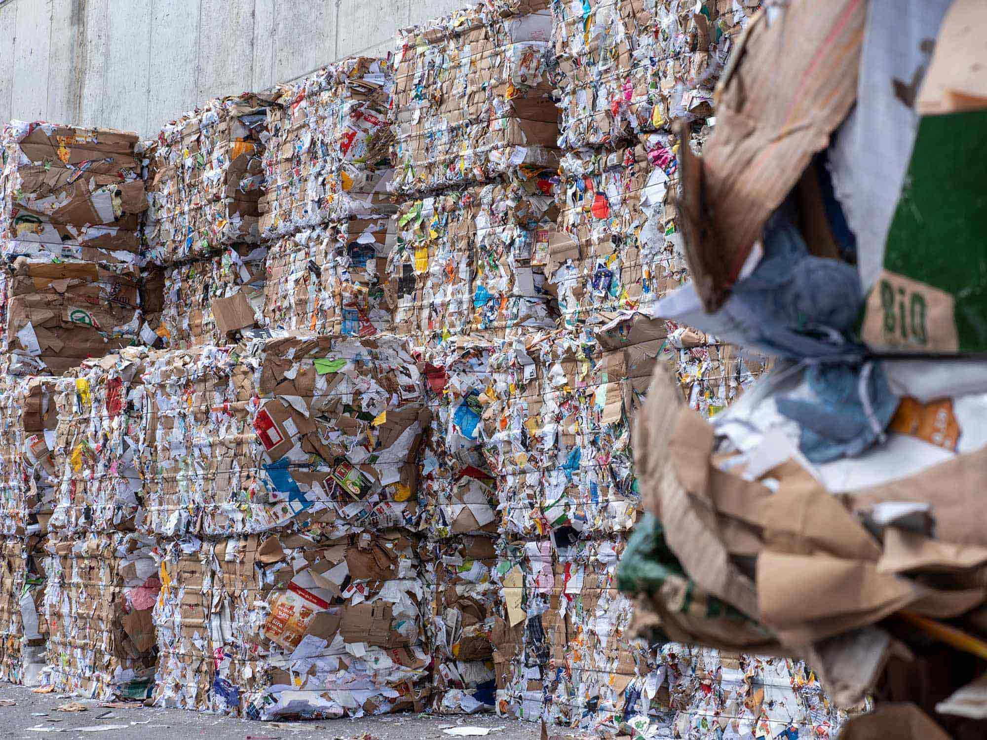 Papierrecycling: Rezyklier das Papier - Loacker Blog