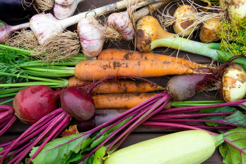 Gartenerde aus der Region | Ländle Erde