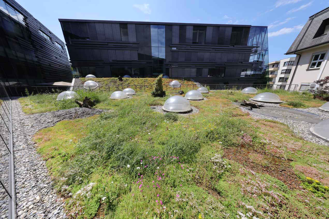 GrünStadtSymposium - Erfolgreiche Premiere in Dornbirn