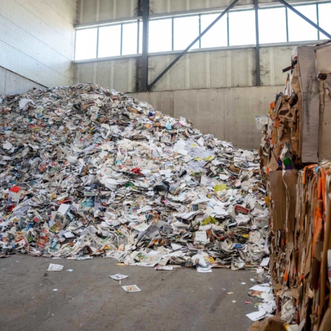 Papier richtig entsorgen: fachgerechtes & zuverlässiges Papier ...