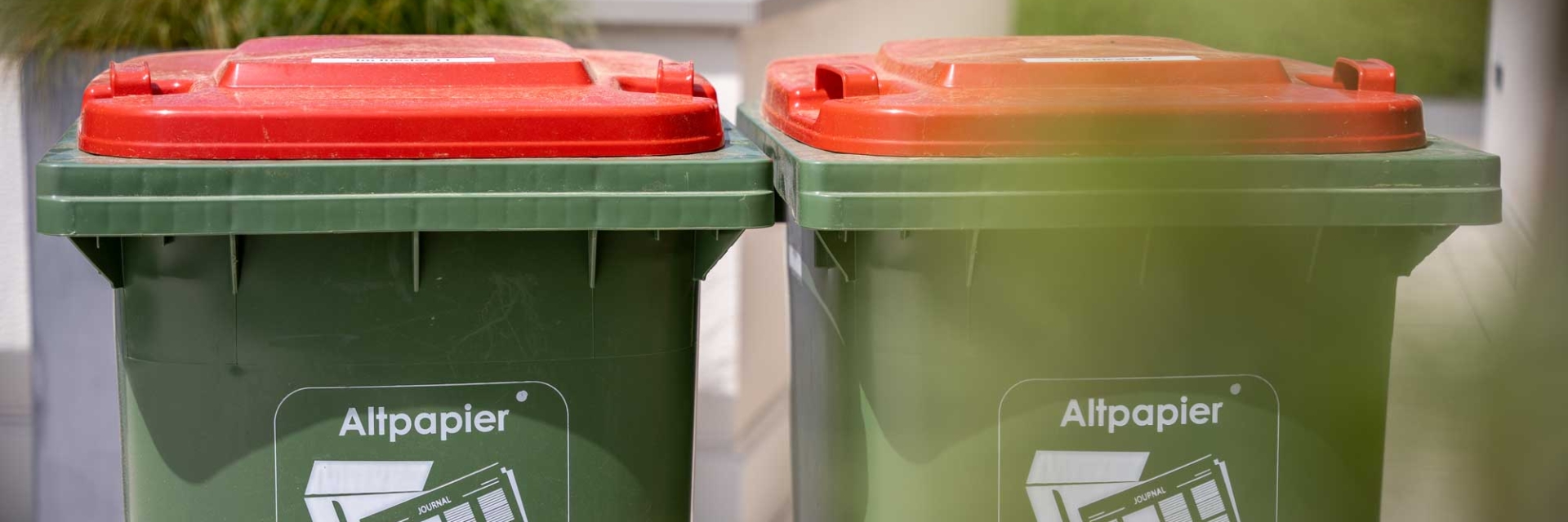 Papier richtig entsorgen: fachgerechtes & zuverlässiges Papier ...